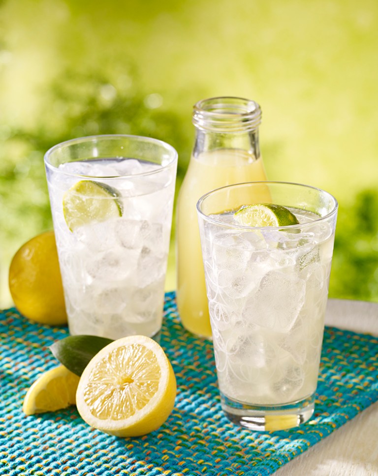 Lemon Lime Shrub | photoappetite